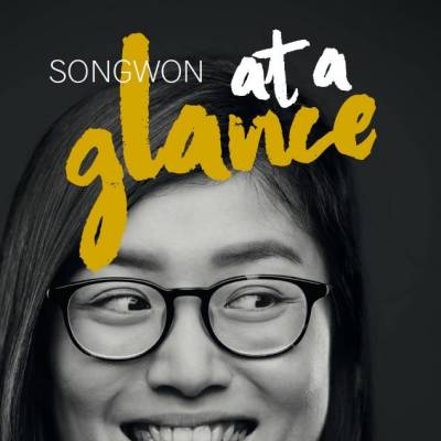 SONGWON Industrial Group - Company