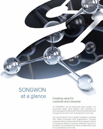 SONGWON Industrial Group - Company